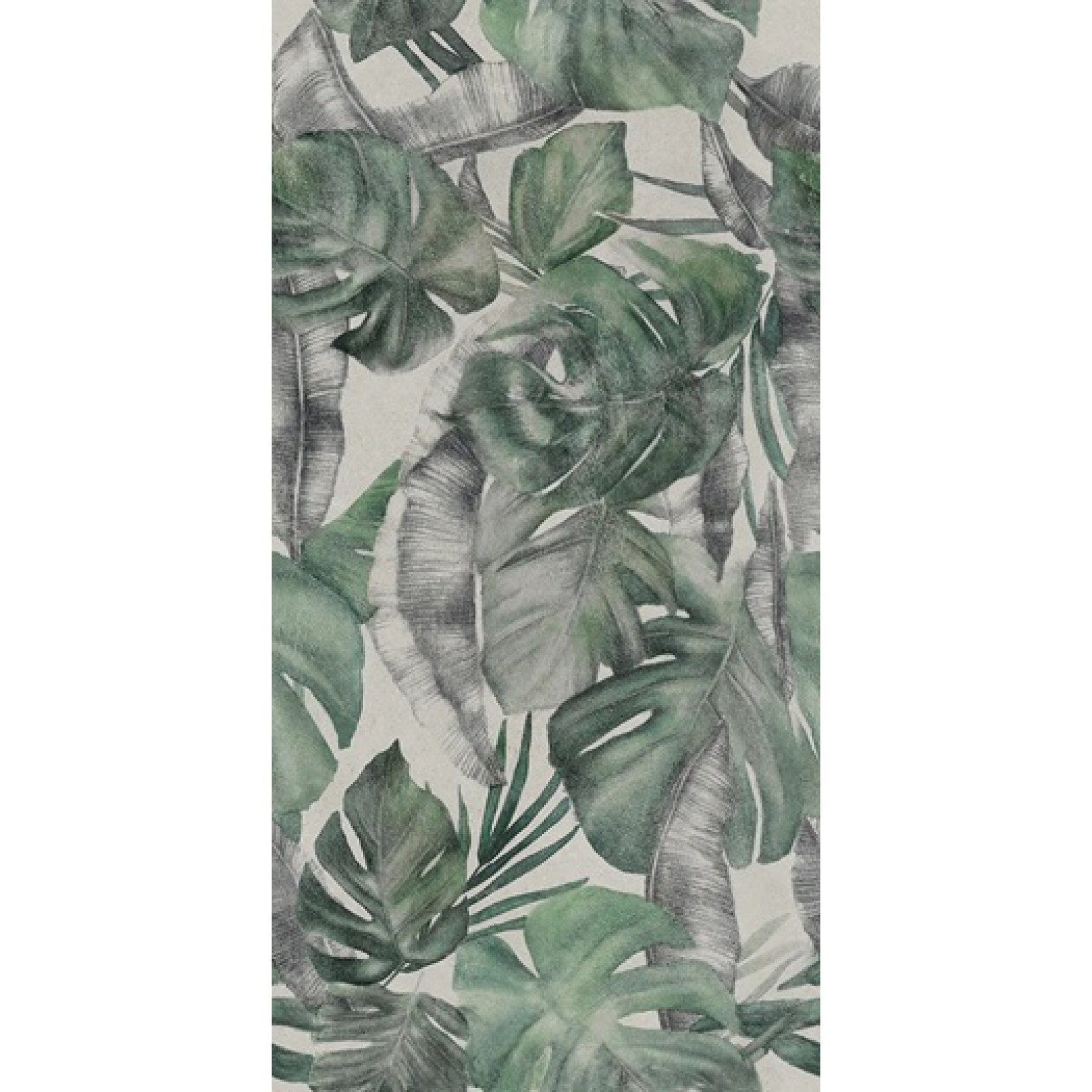 ΠΛΑΚΑΚΙ PALMA MATT RECTIFIED 60X120CM | ONECERAMICA